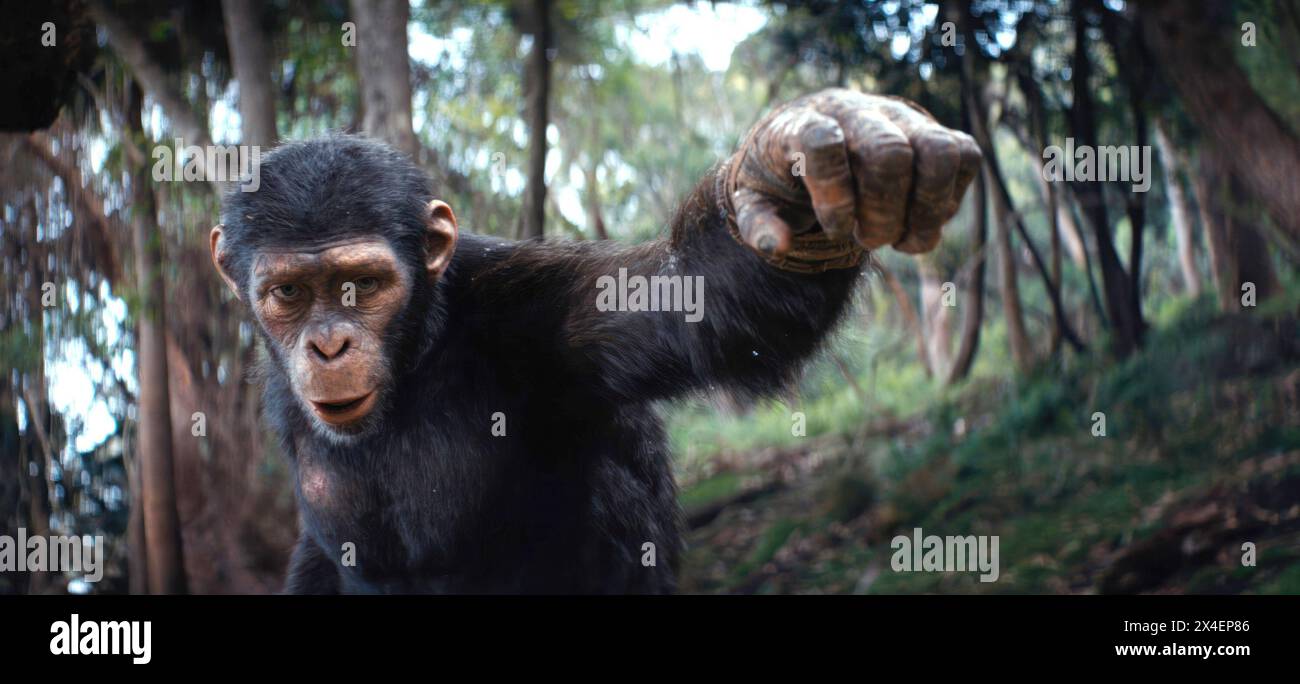 KINGDOM OF THE PLANET OF THE APES, Noa (voice: Owen Teague), 2024 ...
