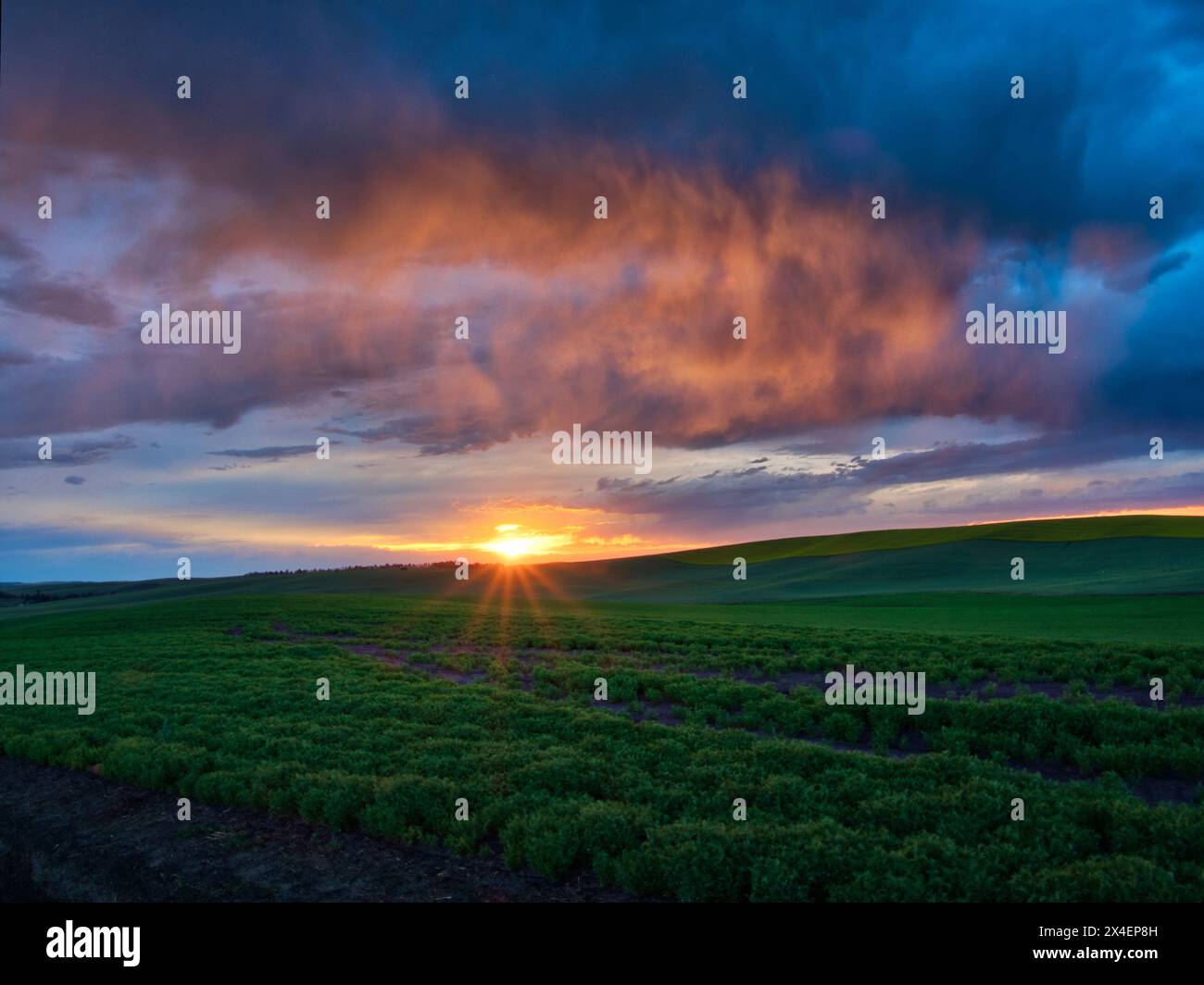 Storm over fields hi-res stock photography and images - Alamy