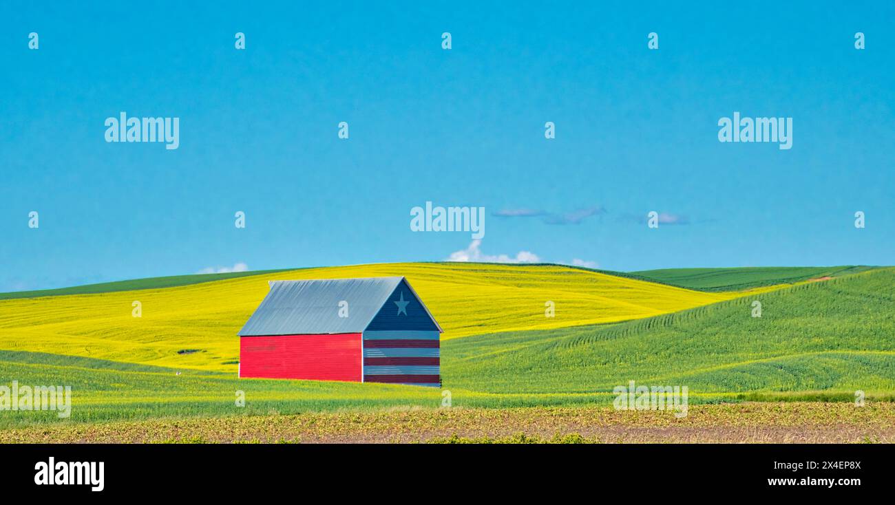 USA, Idaho, Palouse Region. Spring wheat and canola fields with barn ...