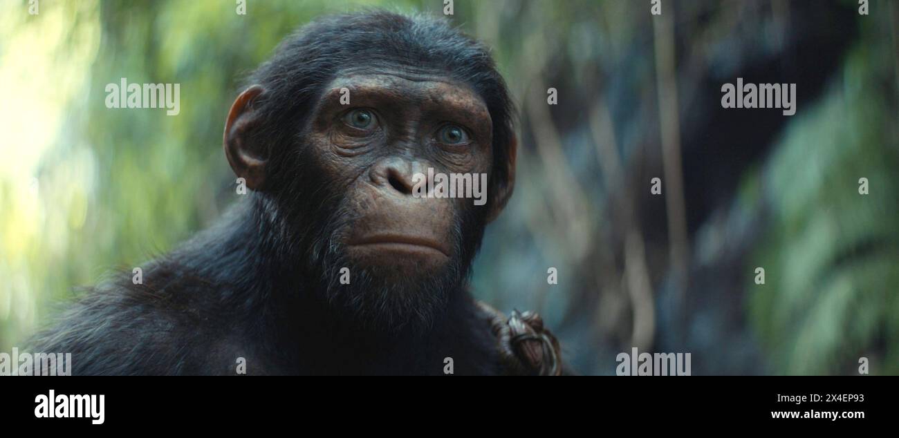 KINGDOM OF THE PLANET OF THE APES, Noa (voice: Owen Teague), 2024. TM ...