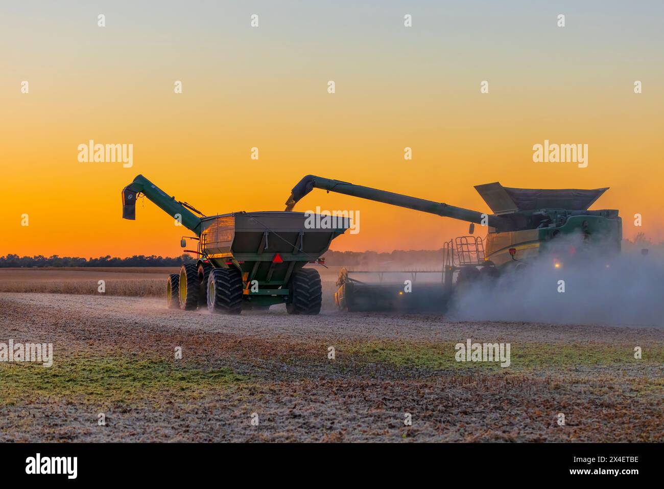 Combine harvesting soybeans and unloading into grain cart at sunset ...