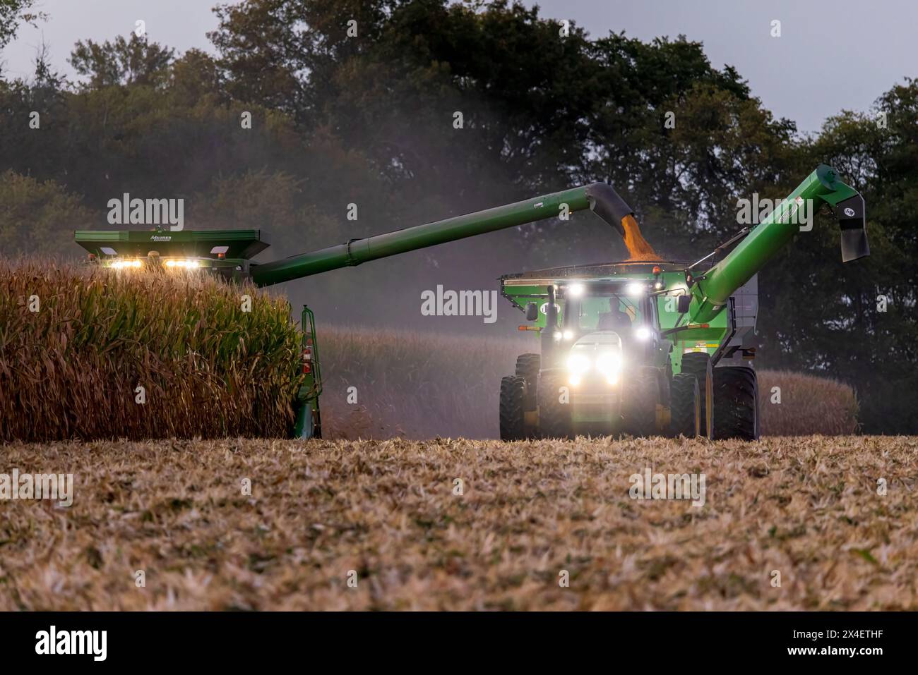Combine harvesting corn and unloading into grain cart at sunset, Marion ...