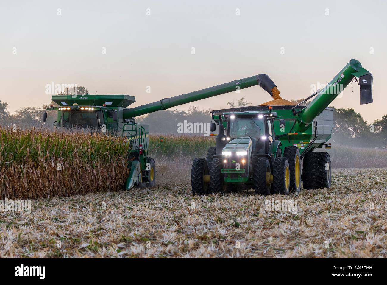 Combine harvesting corn and unloading into grain cart at sunset, Marion ...