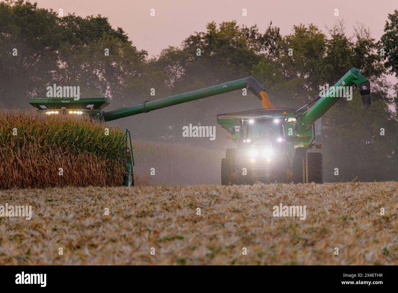 Combine harvesting corn and unloading into grain cart at sunset, Marion ...