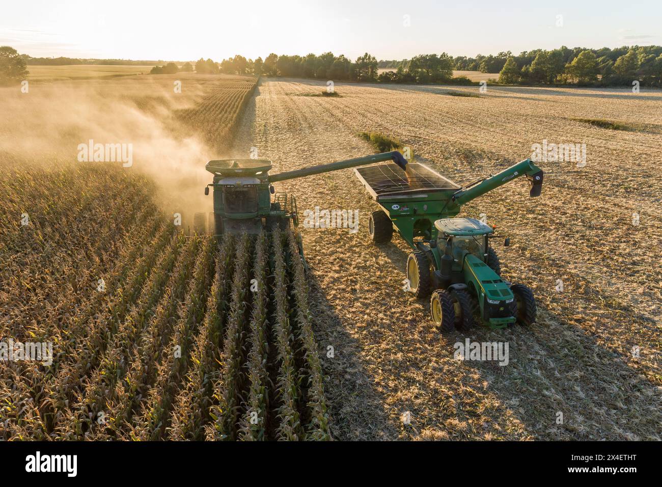 Combine harvesting corn and unloading into grain cart, Marion County ...