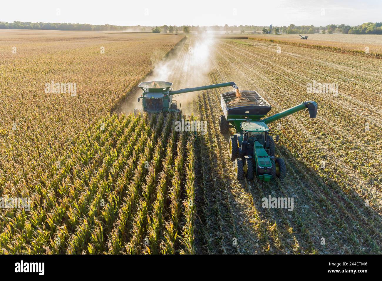 Combine harvesting corn and unloading into grain cart, Marion County ...