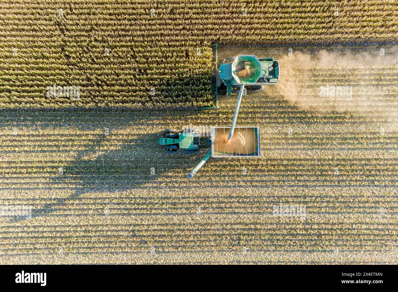 Combine harvesting corn and unloading into grain cart, Marion County ...