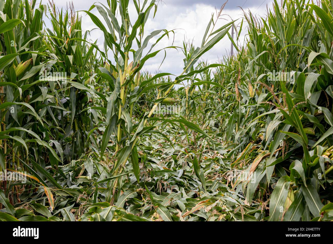 Damage bending hi-res stock photography and images - Alamy
