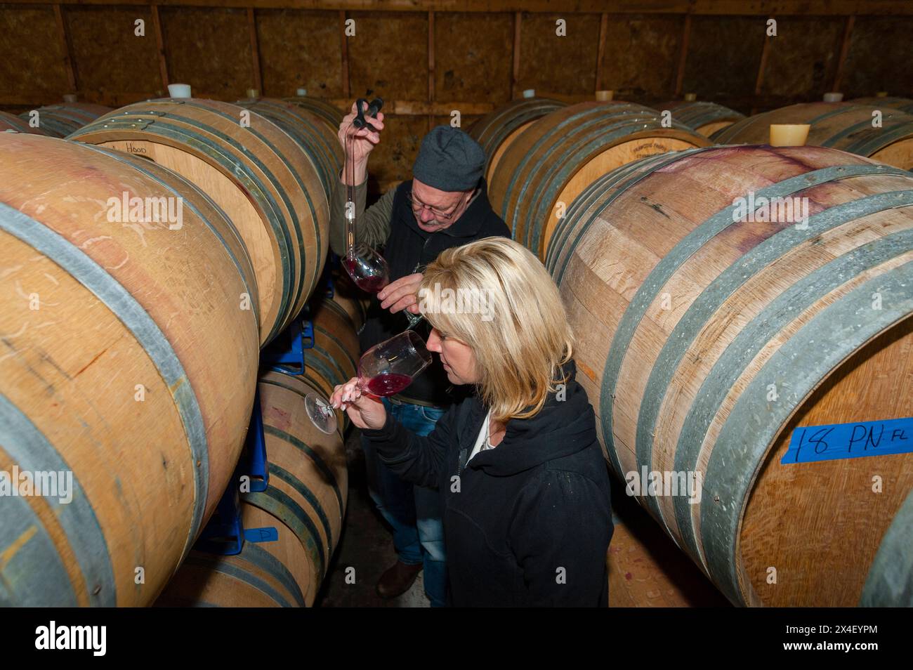 USA, Oregon, Hood River. The winemaking team of Stave & Stone winery ...
