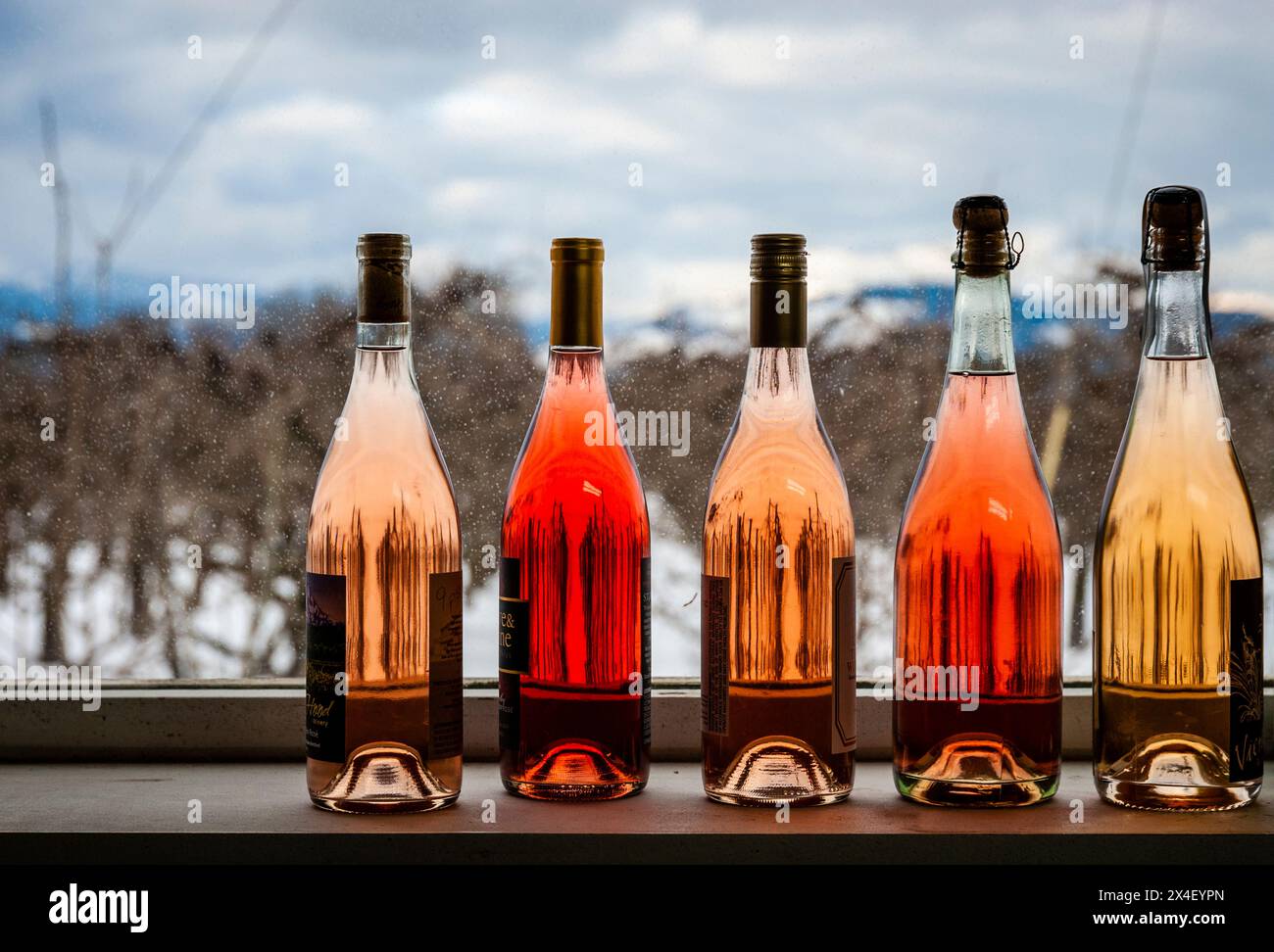 USA, Oregon, Hood River. Rose and white wines are backlit on a cold ...