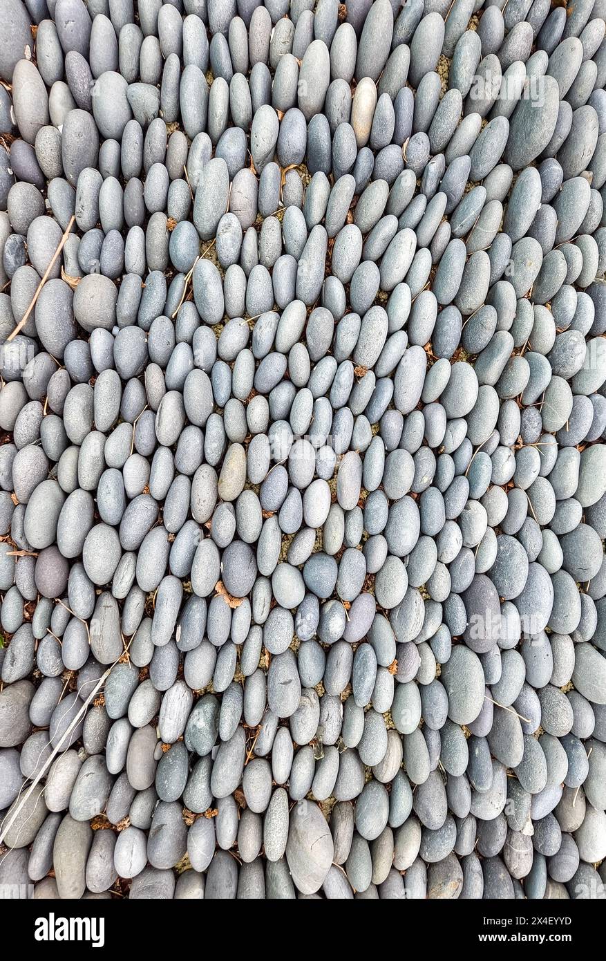 Smooth pebble standing garden background Stock Photo - Alamy