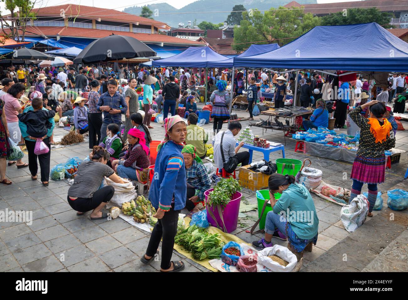 Busy people south east asia hi-res stock photography and images - Alamy