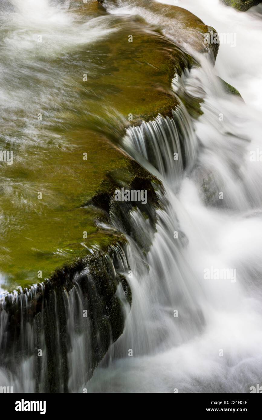 Mountain stream cascading over rocks, Great Smoky Mountains National ...