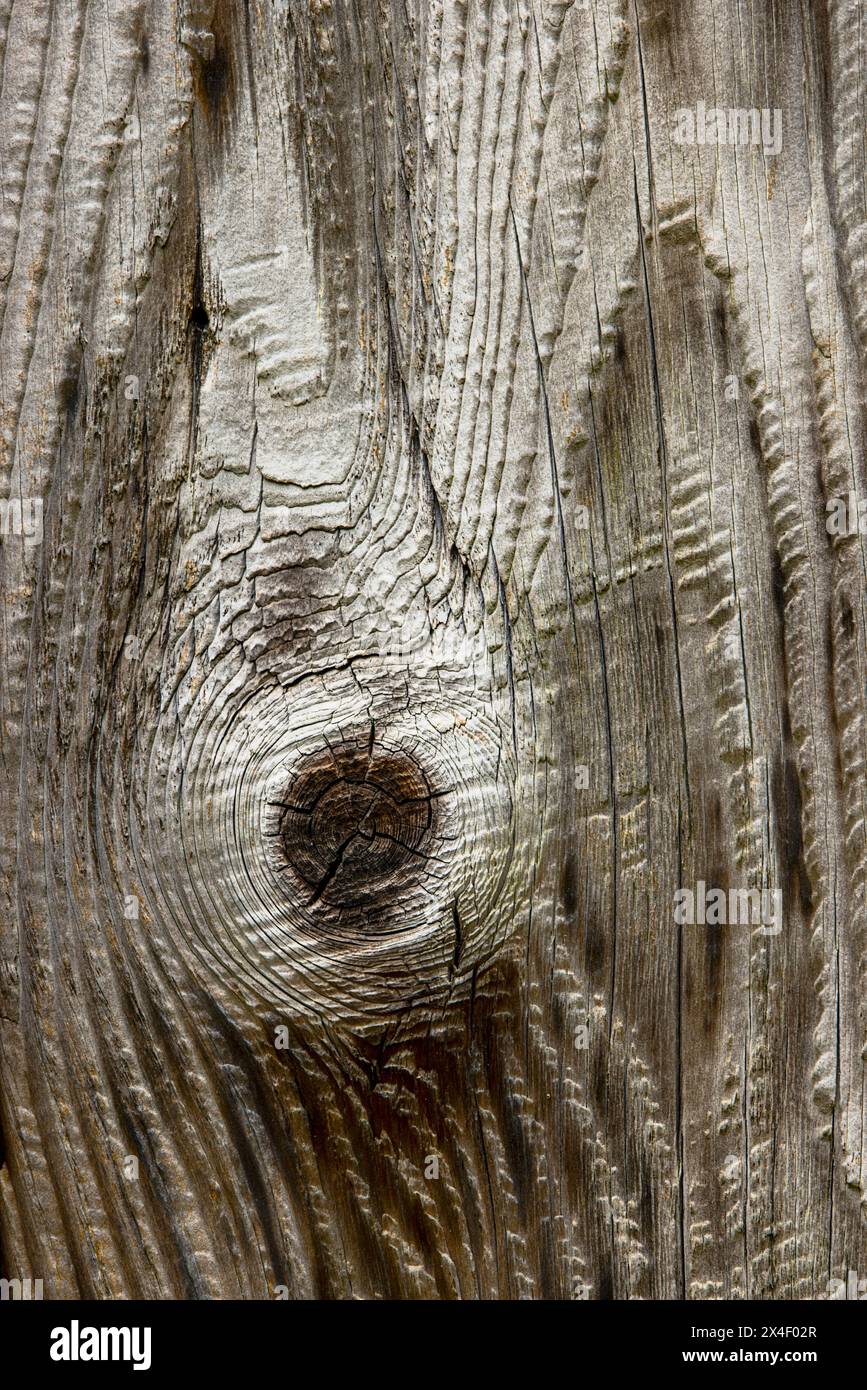 Wooden plank on historic building, Cades Cove, Great Smoky Mountains ...