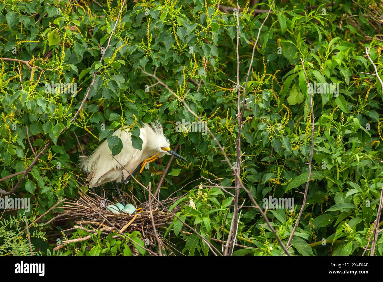 High island, texas hi-res stock photography and images - Alamy