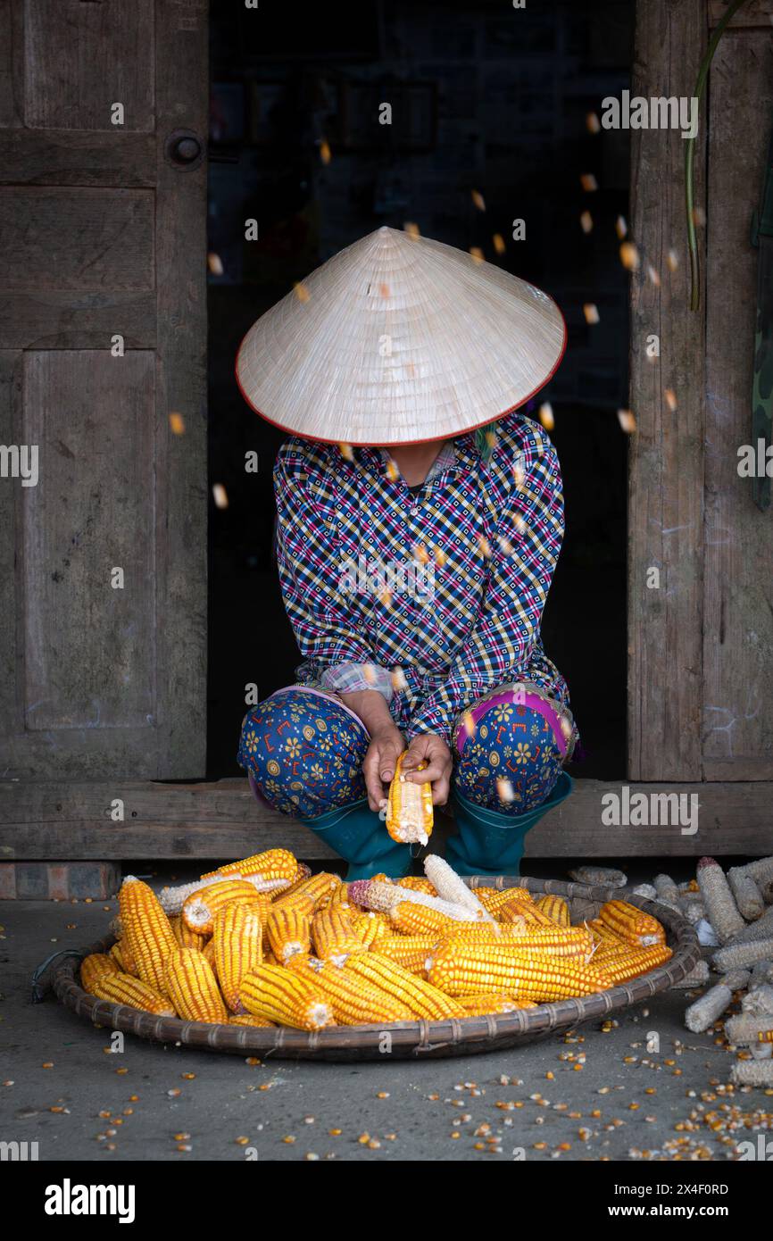 Farmer manually shelling harvested corn hi-res stock photography and ...