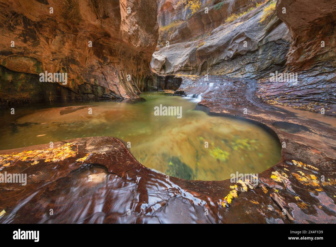 Emerald green pools in The Subway, Left Fork of North Creek, Zion ...