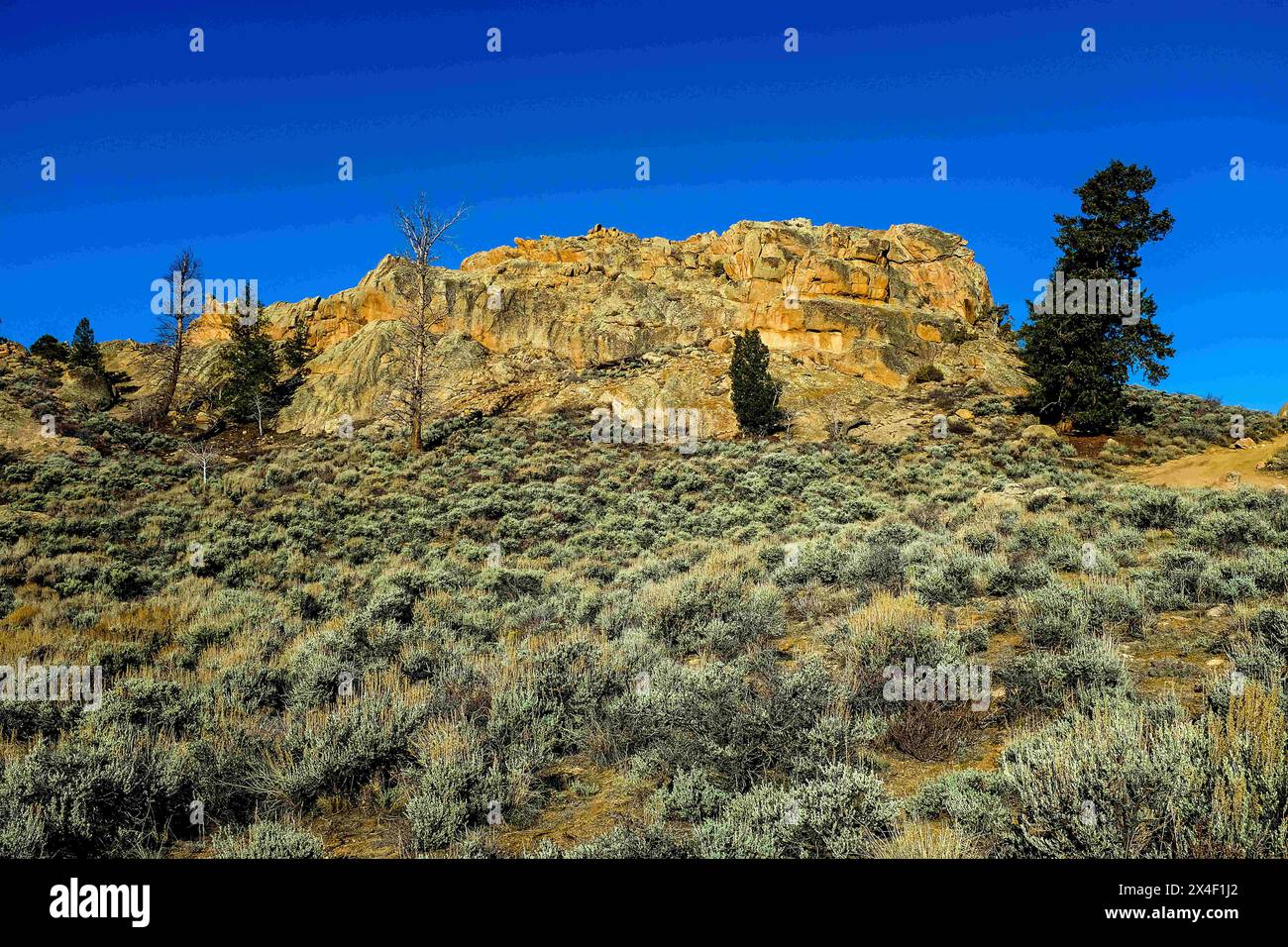 May 02, 2024: A deep green sage landscape compliments the red sandstone ...