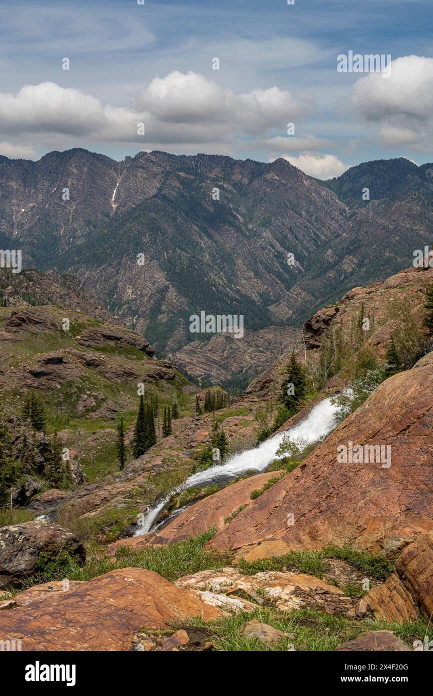 USA, Utah. Quartzite rock and waterfall, Twin Peaks Wilderness, Big ...