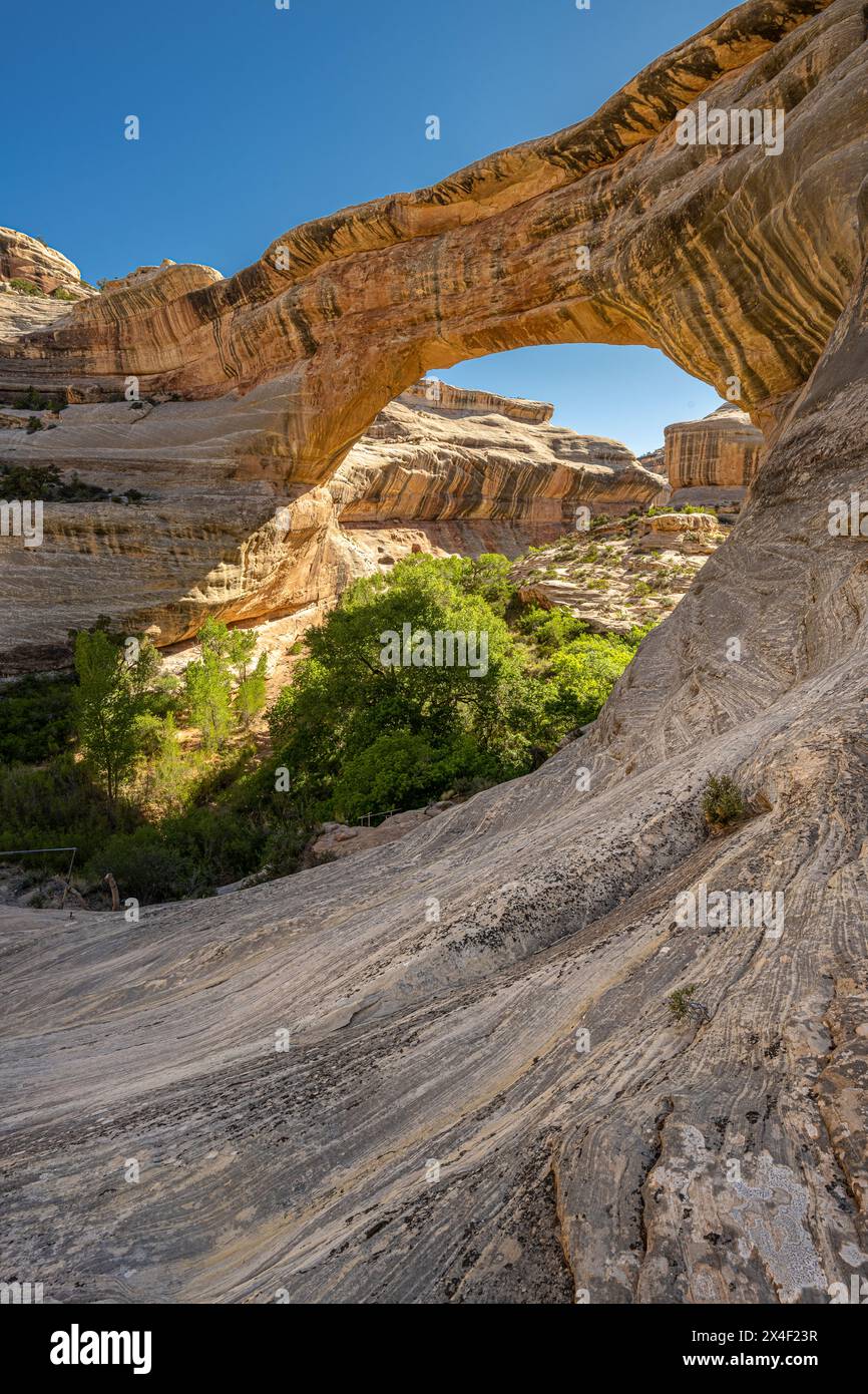 USA, Utah. Sipapu Bridge at Natural Bridges National Monument Stock ...