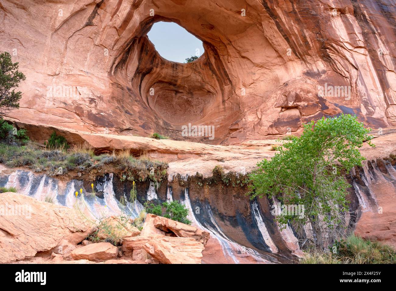 Utah rock hi-res stock photography and images - Alamy
