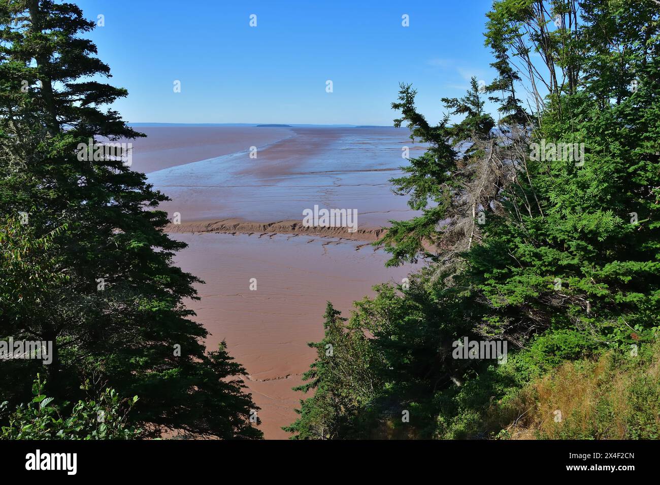 New Brunswick Hopewell Rock area at low tide. Exposed ocean floor mud ...
