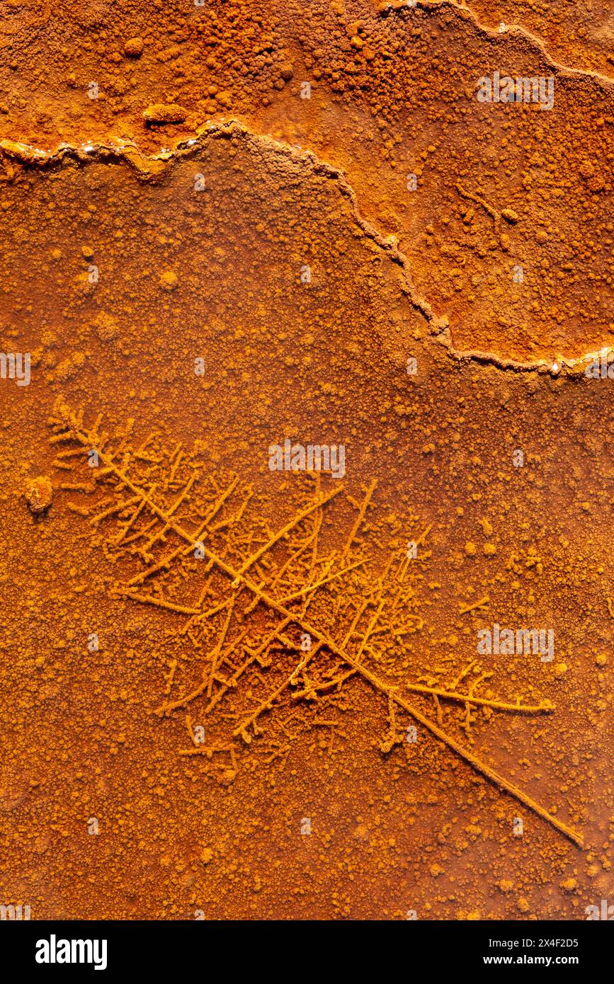 USA, Utah. Crystal Geyser, a cold water geyser, travertine geological ...