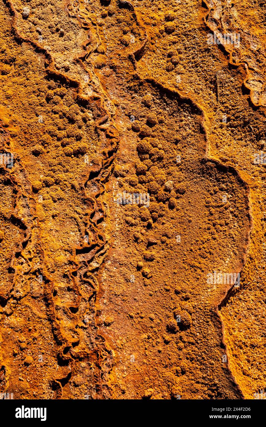 USA, Utah. Crystal Geyser, a cold water geyser, travertine geological ...