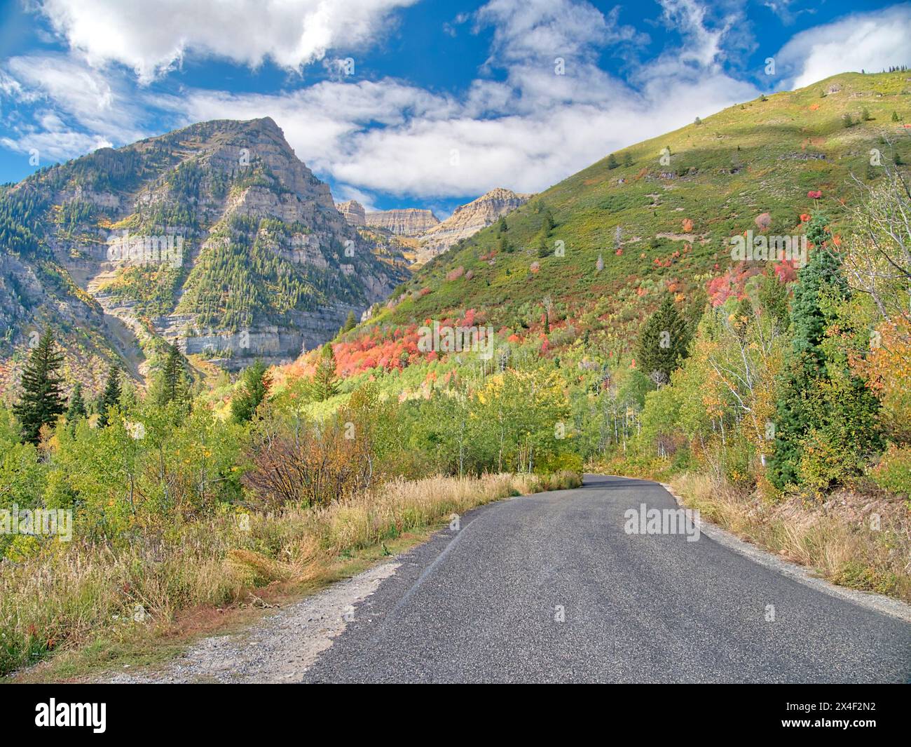USA, Utah, Logan Pass. Road through colorful autumn in Cottonwood ...