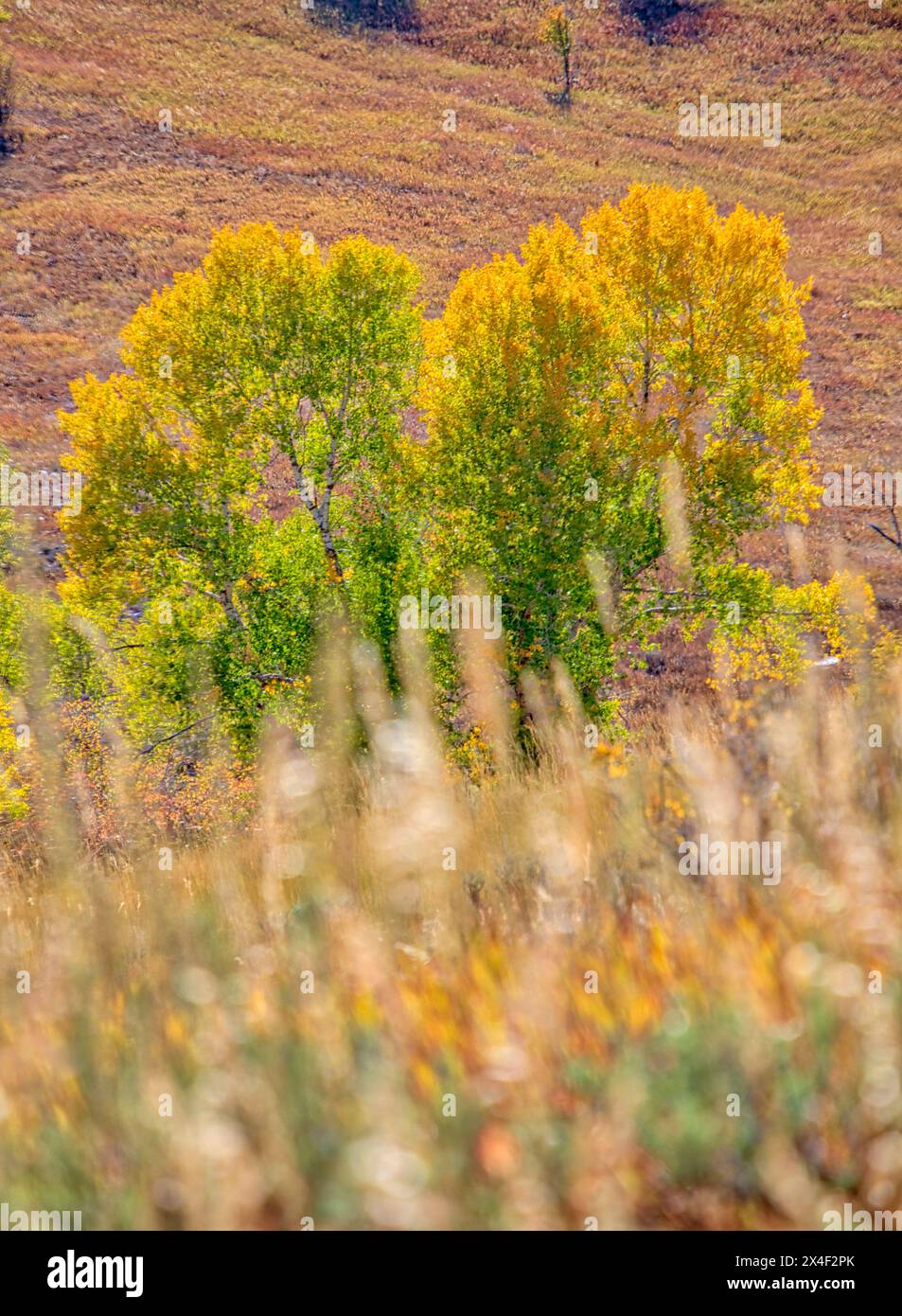 Canyon logan hi-res stock photography and images - Alamy