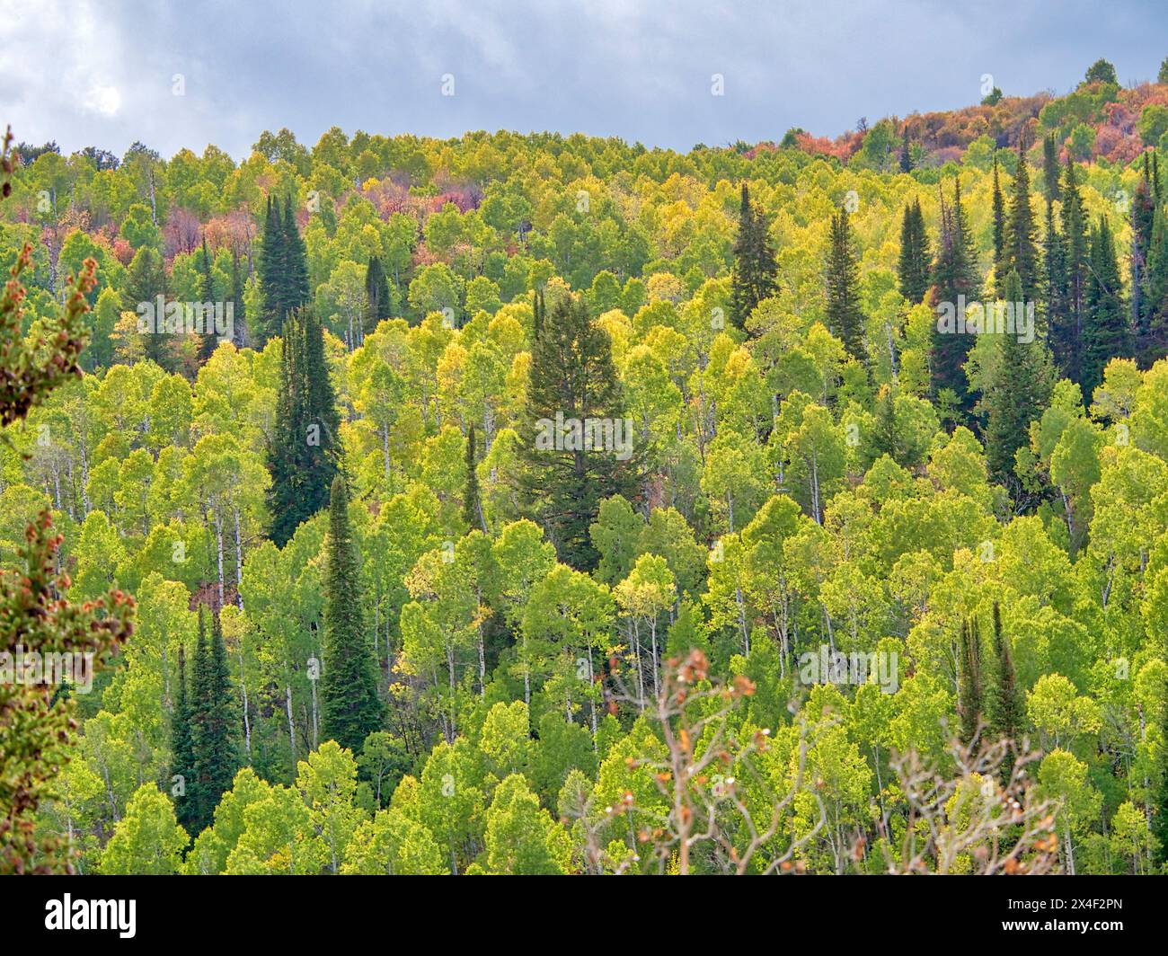 Logan canyon hi-res stock photography and images - Alamy