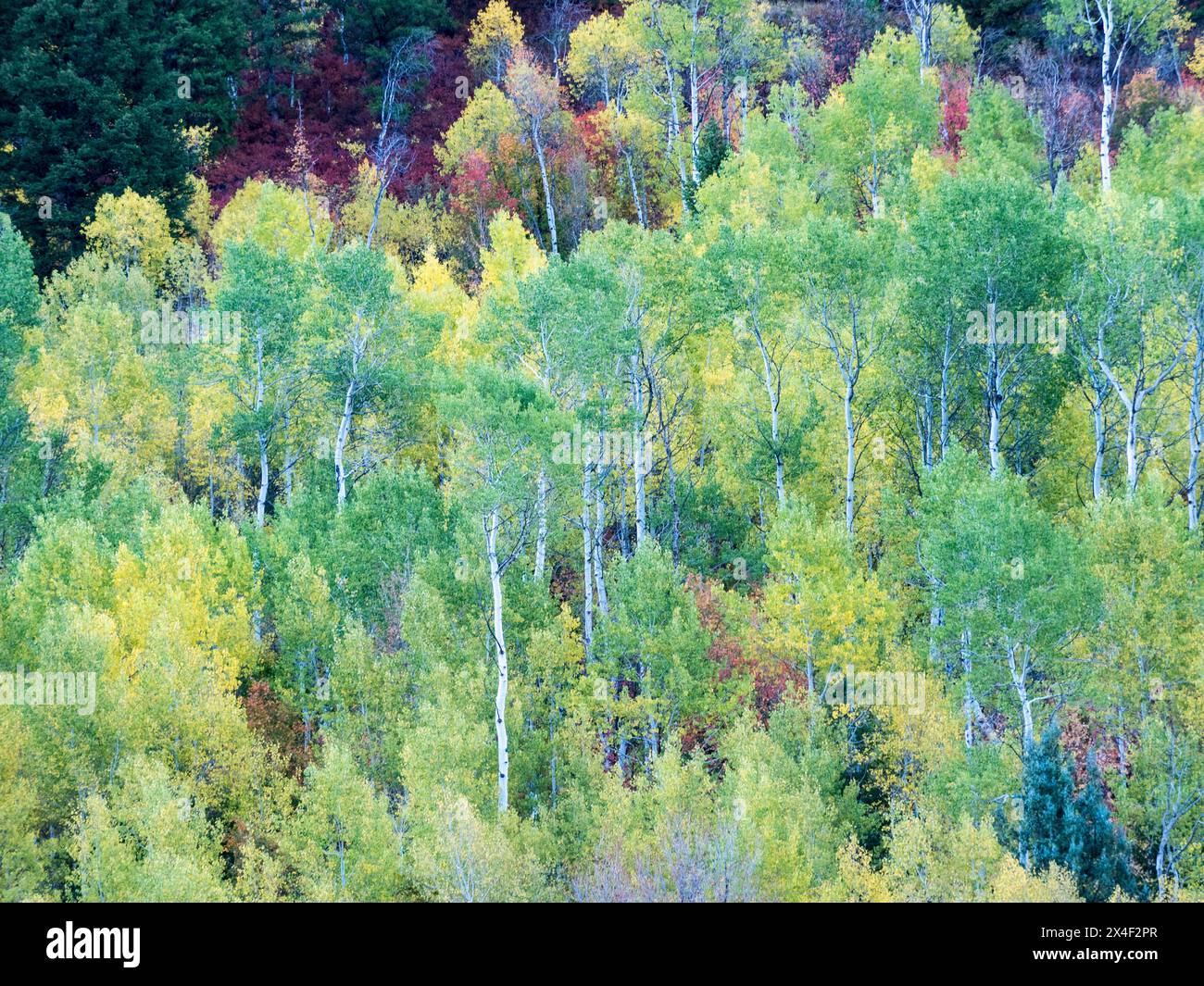 Logan canyon hi-res stock photography and images - Alamy