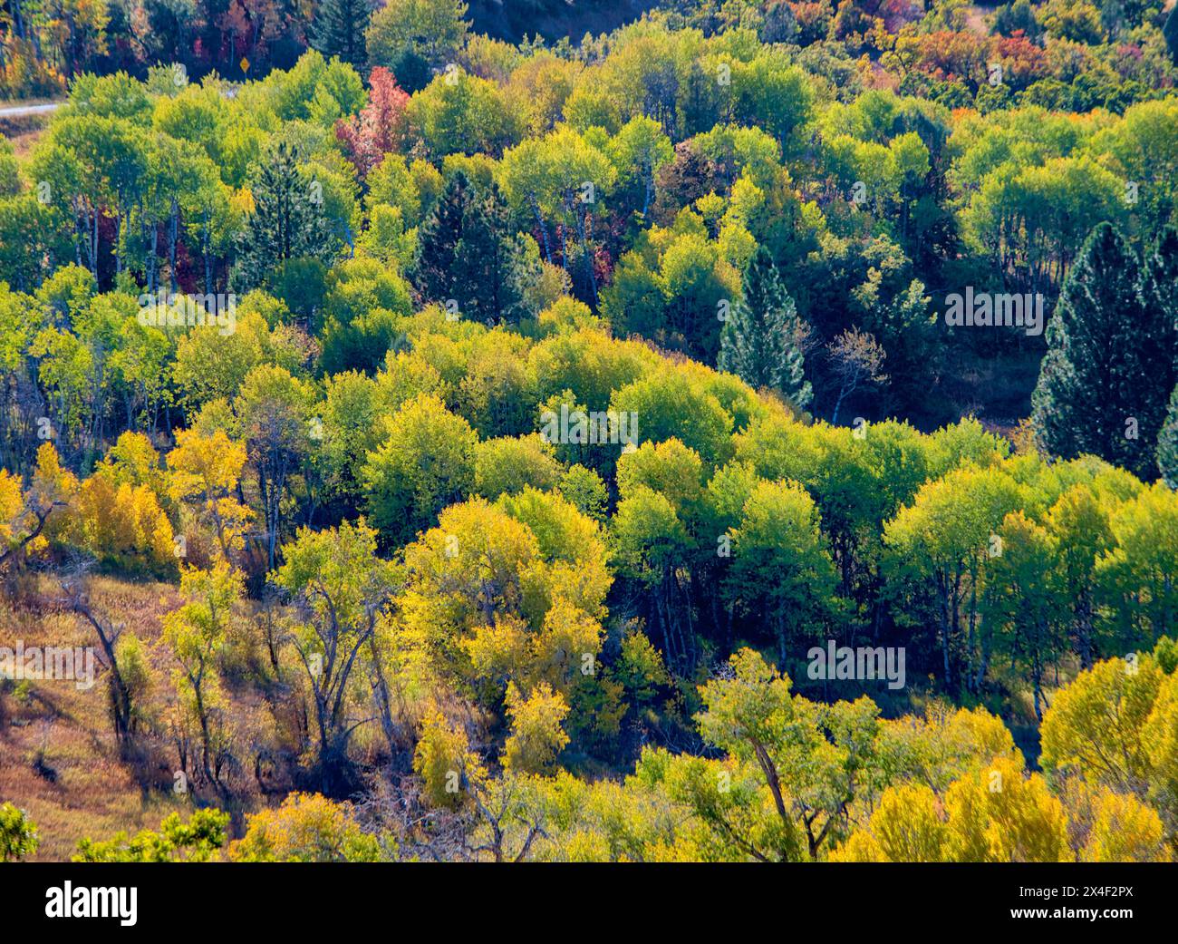 Logan canyon hi-res stock photography and images - Alamy