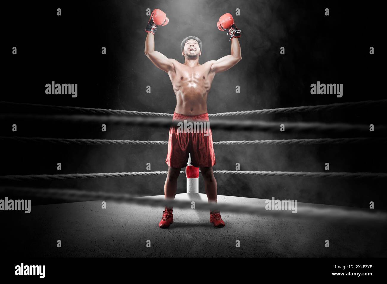 Portrait of a boxing man with red boxing gloves celebrating his win in ...