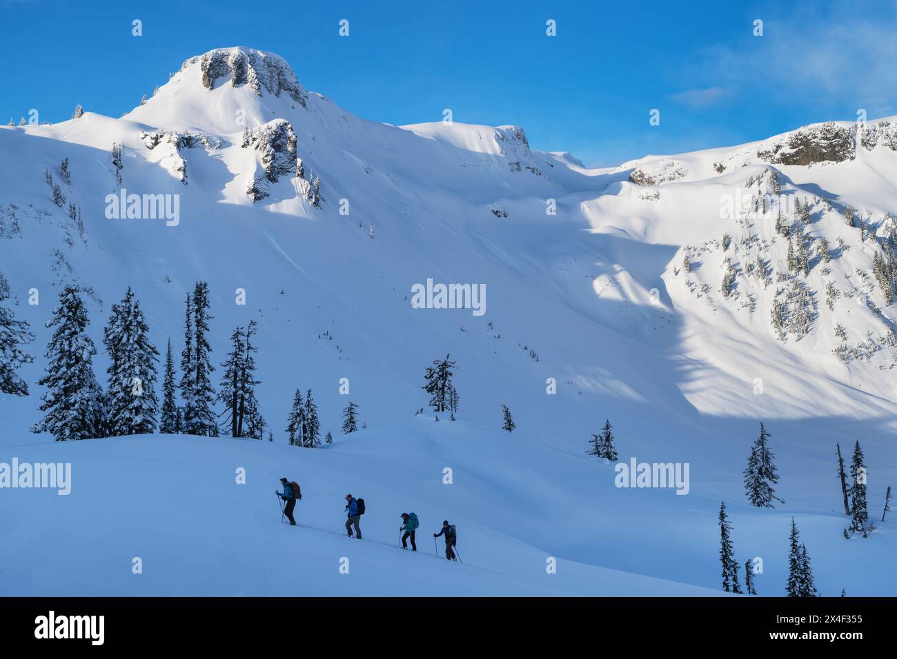 Backcountry skiers ascending slope. Heather Meadows, Mt. Baker ...