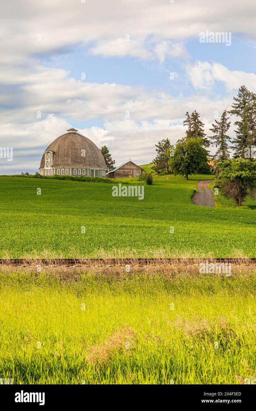 USA, Washington State, Palouse. Pullman. Green wheat fields. Leonard ...