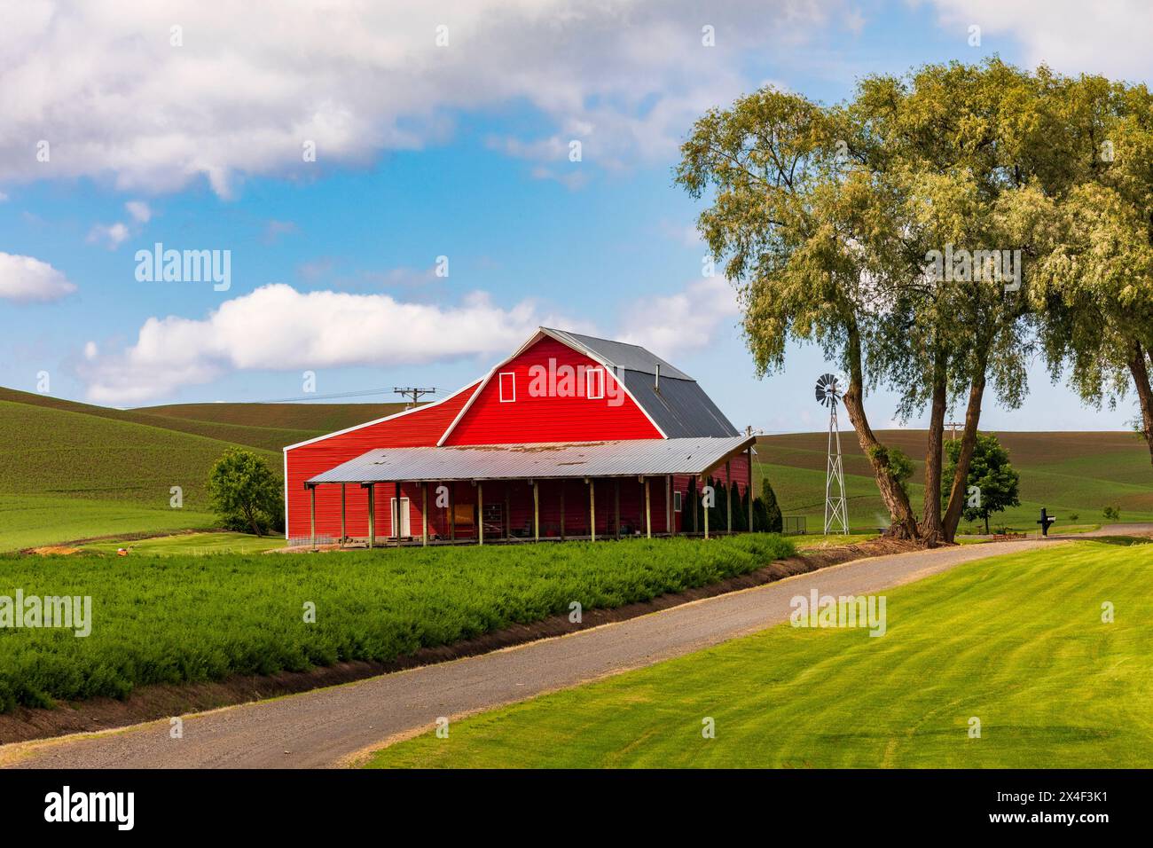 USA, Washington State, Colfax, Palouse. Red barn, blue sky, white ...