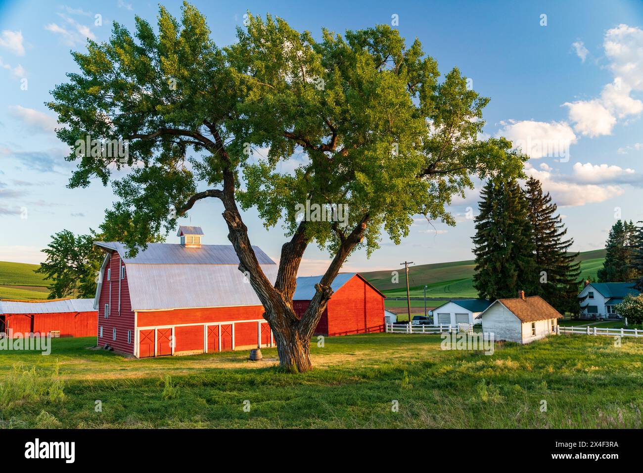 USA, Washington State, Colfax, Palouse. Red barn, blue sky, white ...