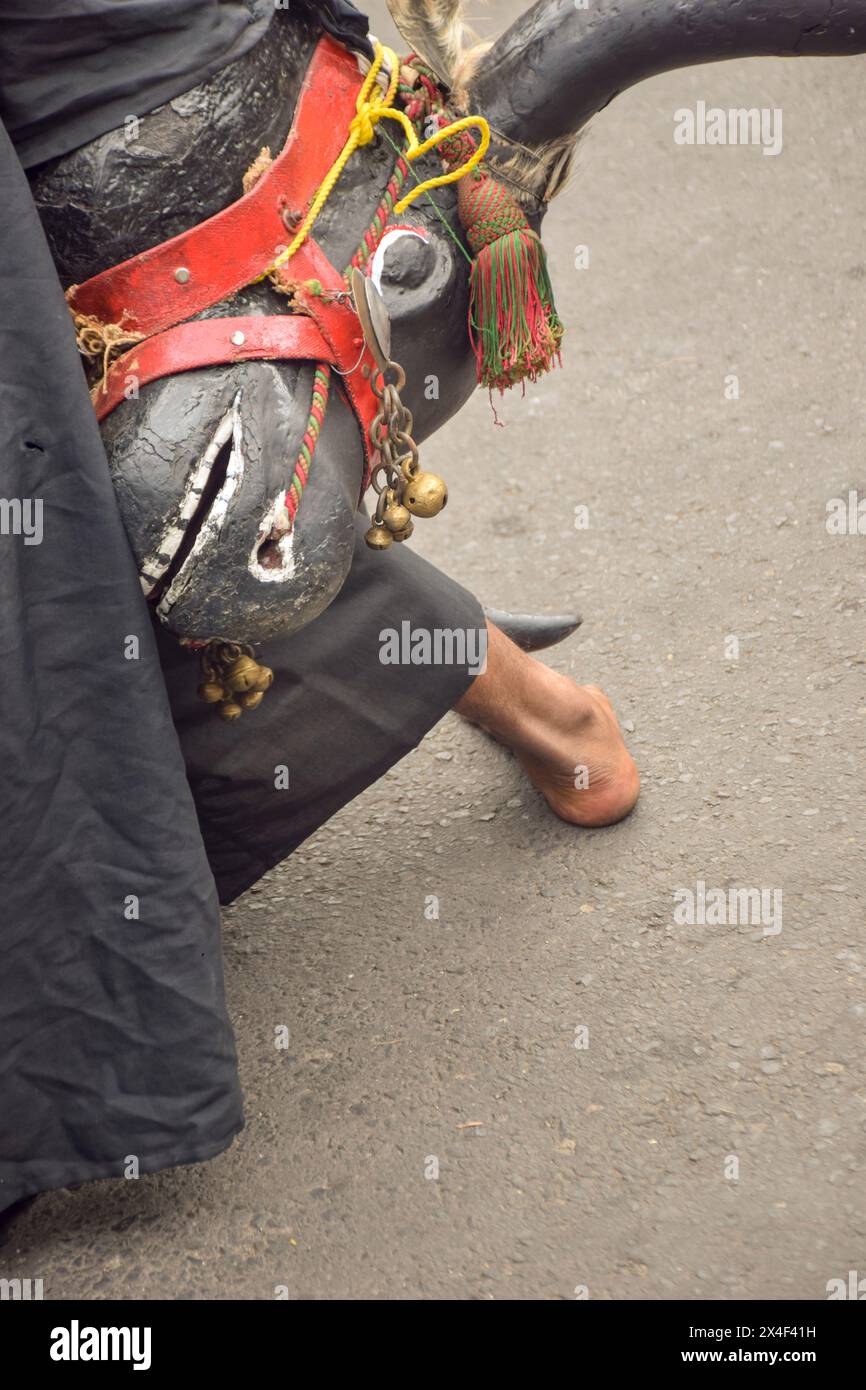 Indonesian culture, bantengan seni tradisional Stock Photo - Alamy