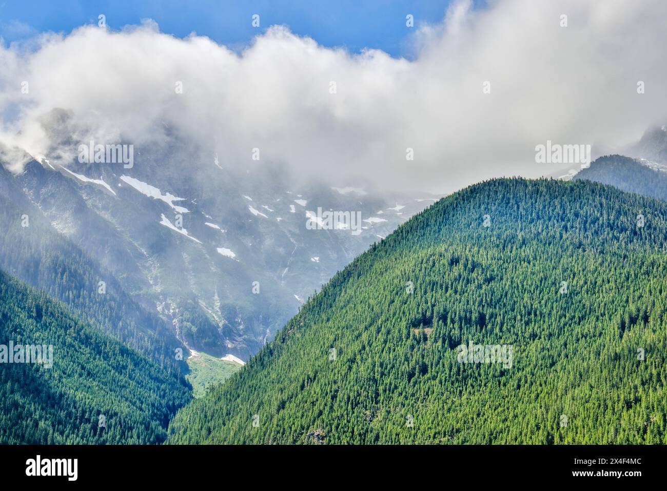 Diamond lake washington hi-res stock photography and images - Alamy