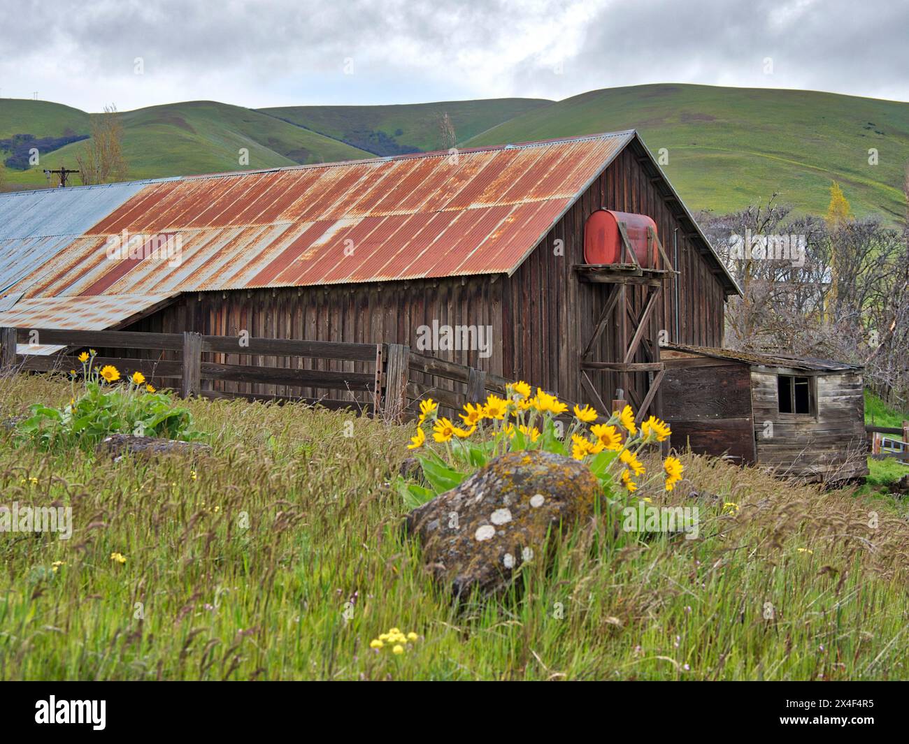 Dalles mountain ranch state hi-res stock photography and images - Alamy