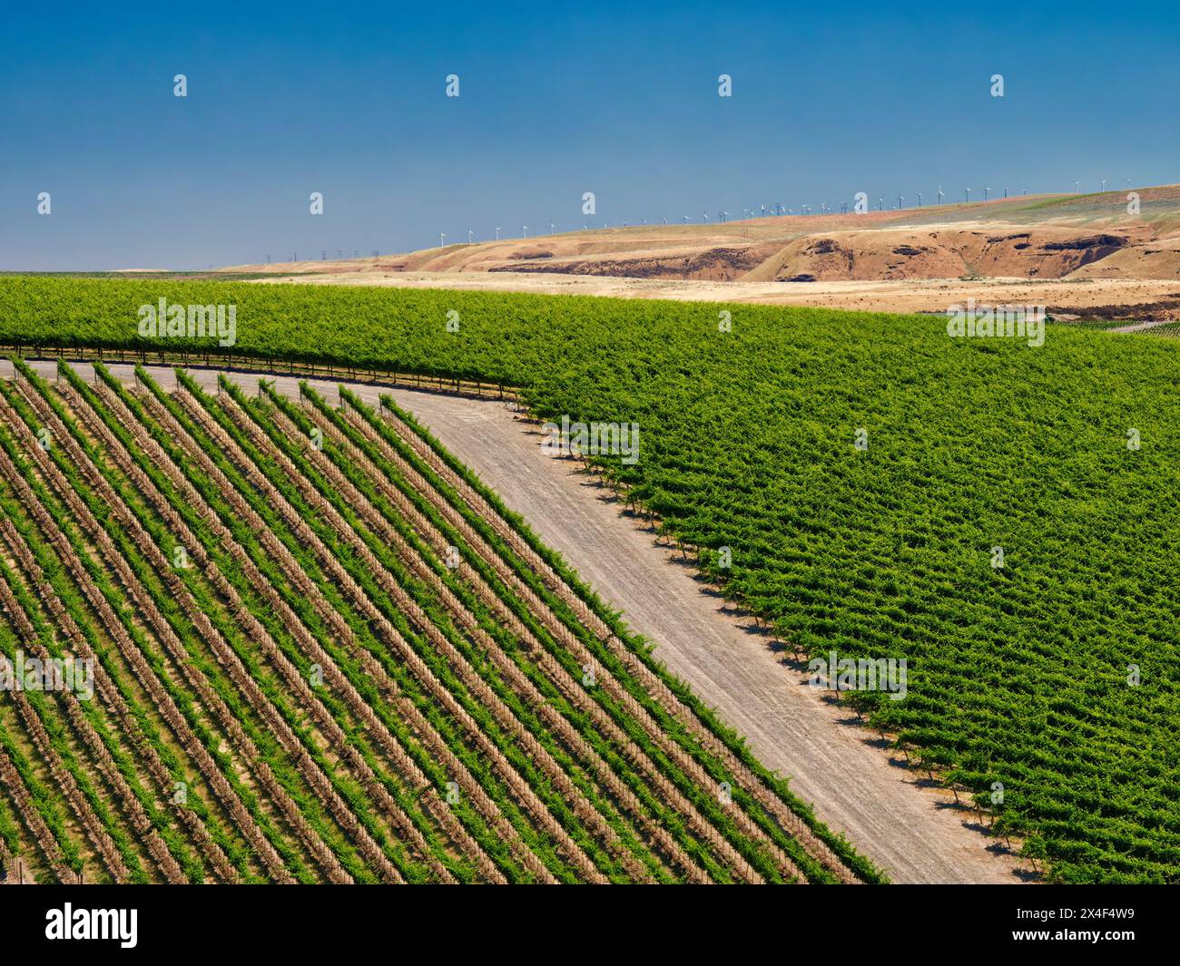An extraordinary vineyard of beauty and scope carved out of a steep ...