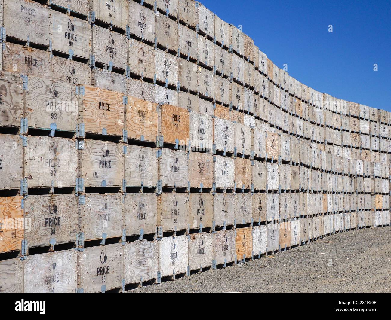 Plenty of boxes lined up ready for the fruit harvest. (Editorial Use ...