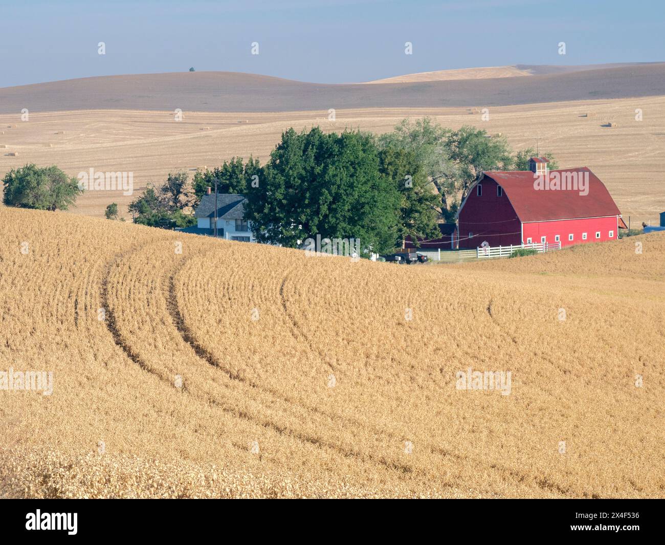 Red barn with cut wheat field and tracks in the foreground. (Editorial ...