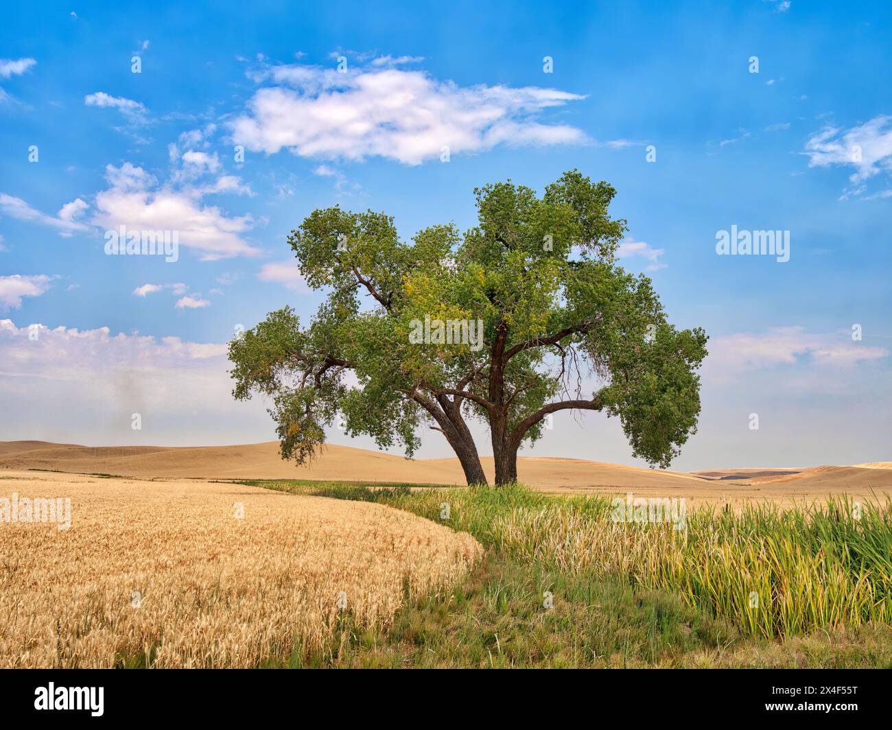 Time lone hi-res stock photography and images - Alamy