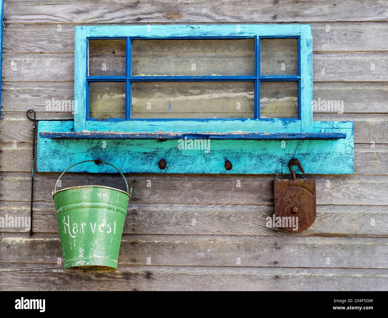 A turquoise window frame and hangers on a shed at a lavender farm in ...
