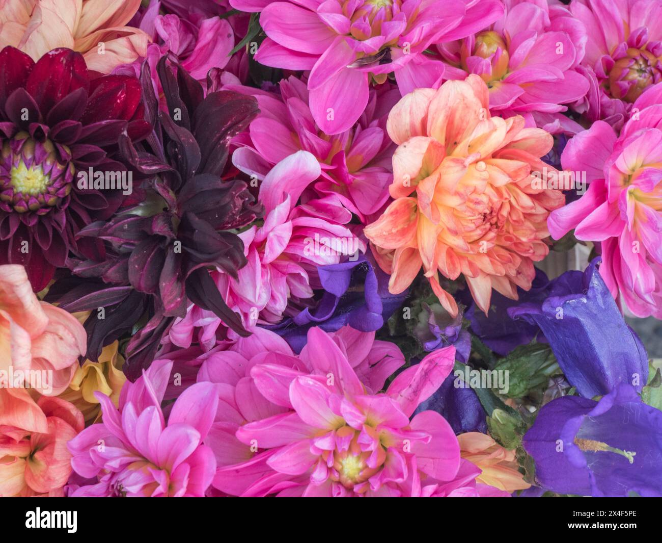 Colorful spring bouquet hi-res stock photography and images - Alamy