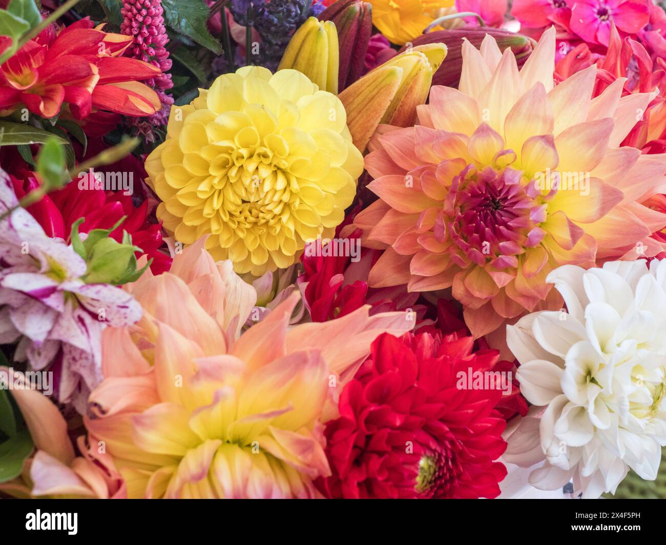 Bouquet spring flowers close hi-res stock photography and images - Alamy