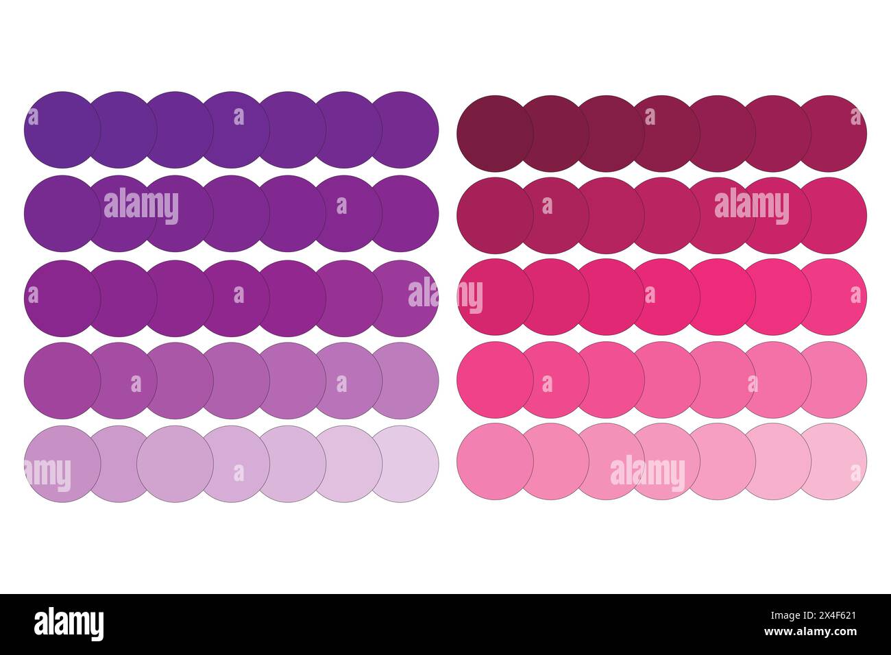 Purple to pink circle palette vector. Gradient shades from violet to ...