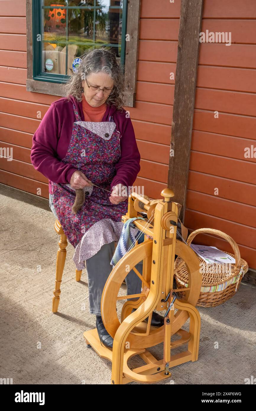 Port Townsend, Washington State, USA. Woman spinning wool on a double ...